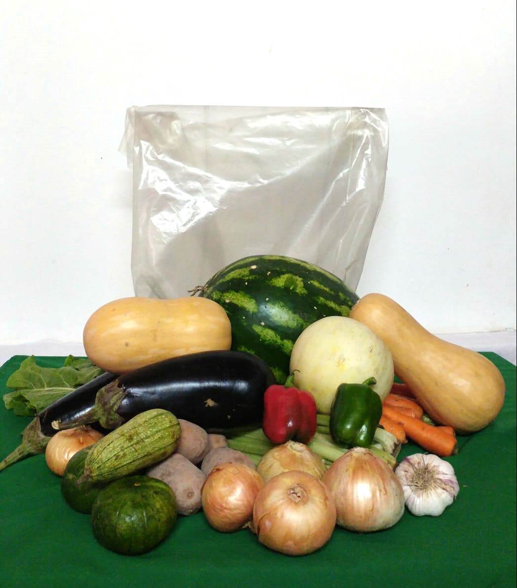 Bolsón de Verduras y Frutas de Estación : Catálogo