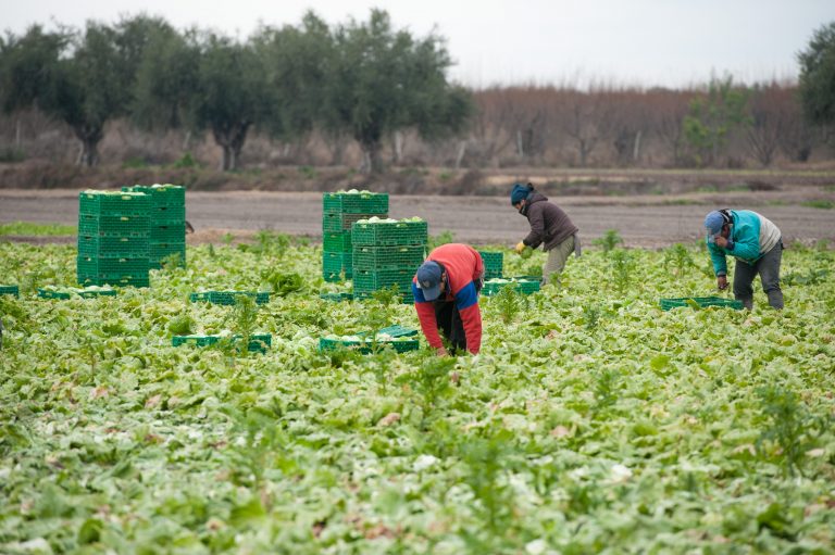 cosecha expo verde : Prensa Gobierno de Mendoza
