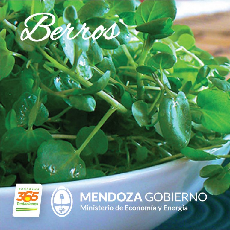 365 Tentaciones: Berro, fuente de hierro y vitaminas que se consume ...