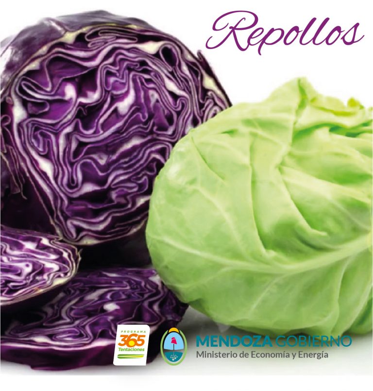 Repollo, la fuente de vitamina ideal para los cambios de tiempo ...