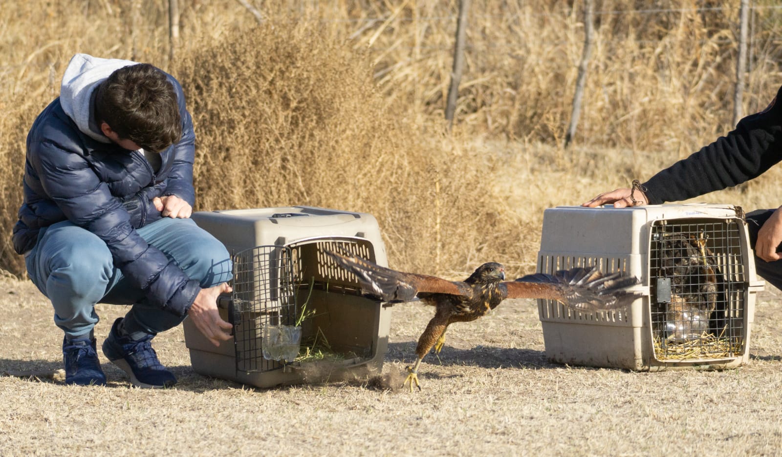 Nueva liberación de aves en el Ecoparque : Prensa Gobierno de Mendoza