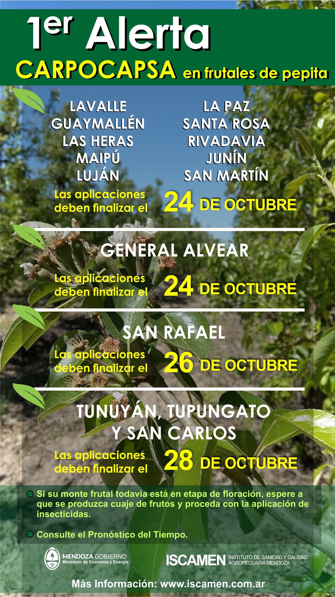 El Iscamen realizó la primera alerta para el control de carpocapsa en ...