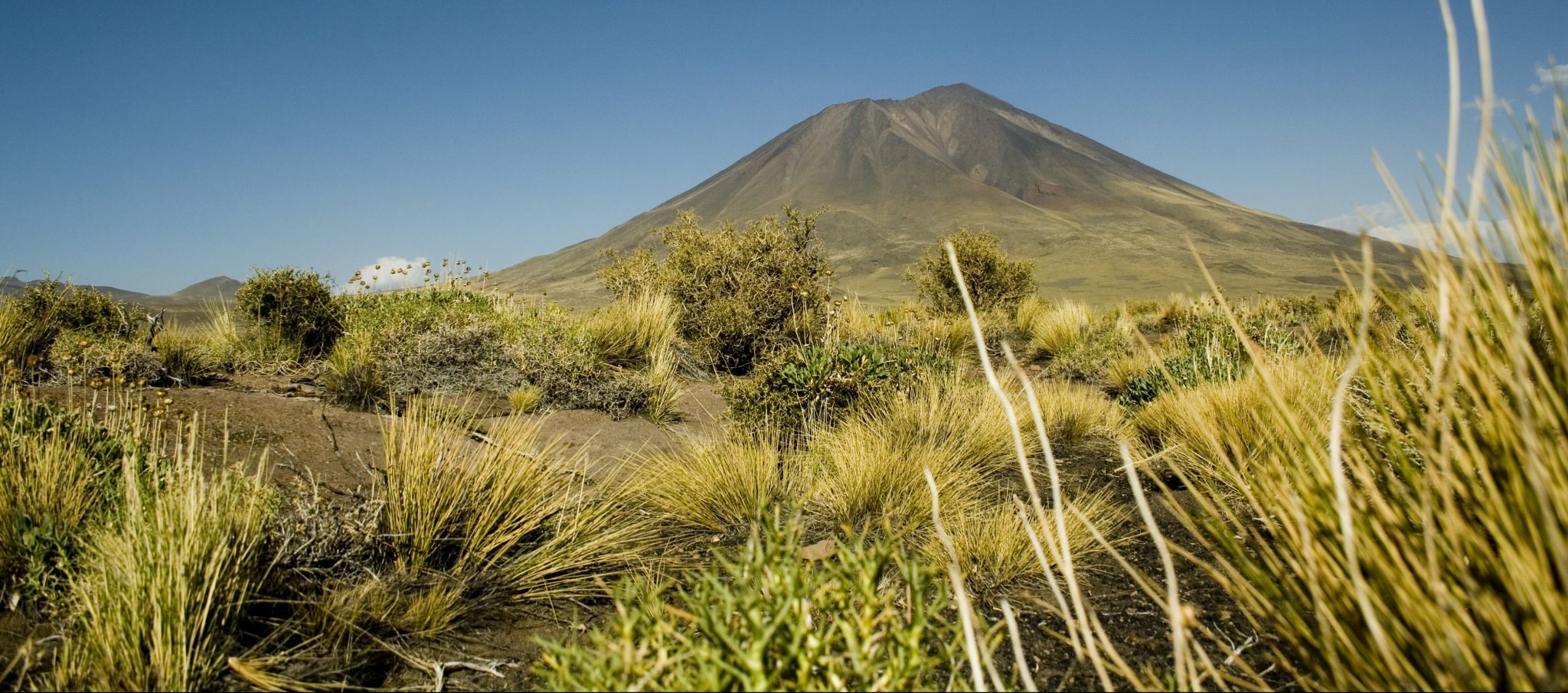 La Reserva Natural La Payunia suma 20 mil hectáreas protegidas al ...