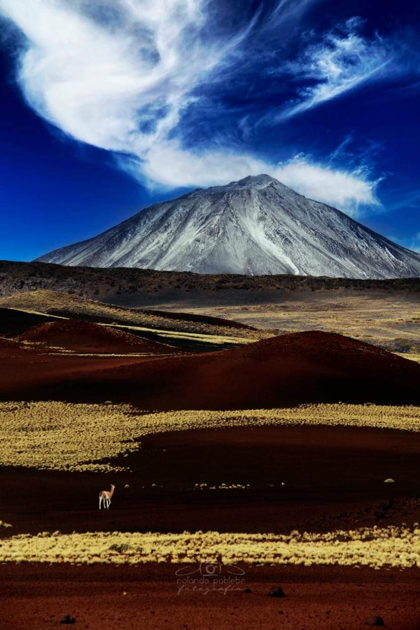 La Payunia y 800 volcanes para descubrir en el Sur de Mendoza : Prensa ...