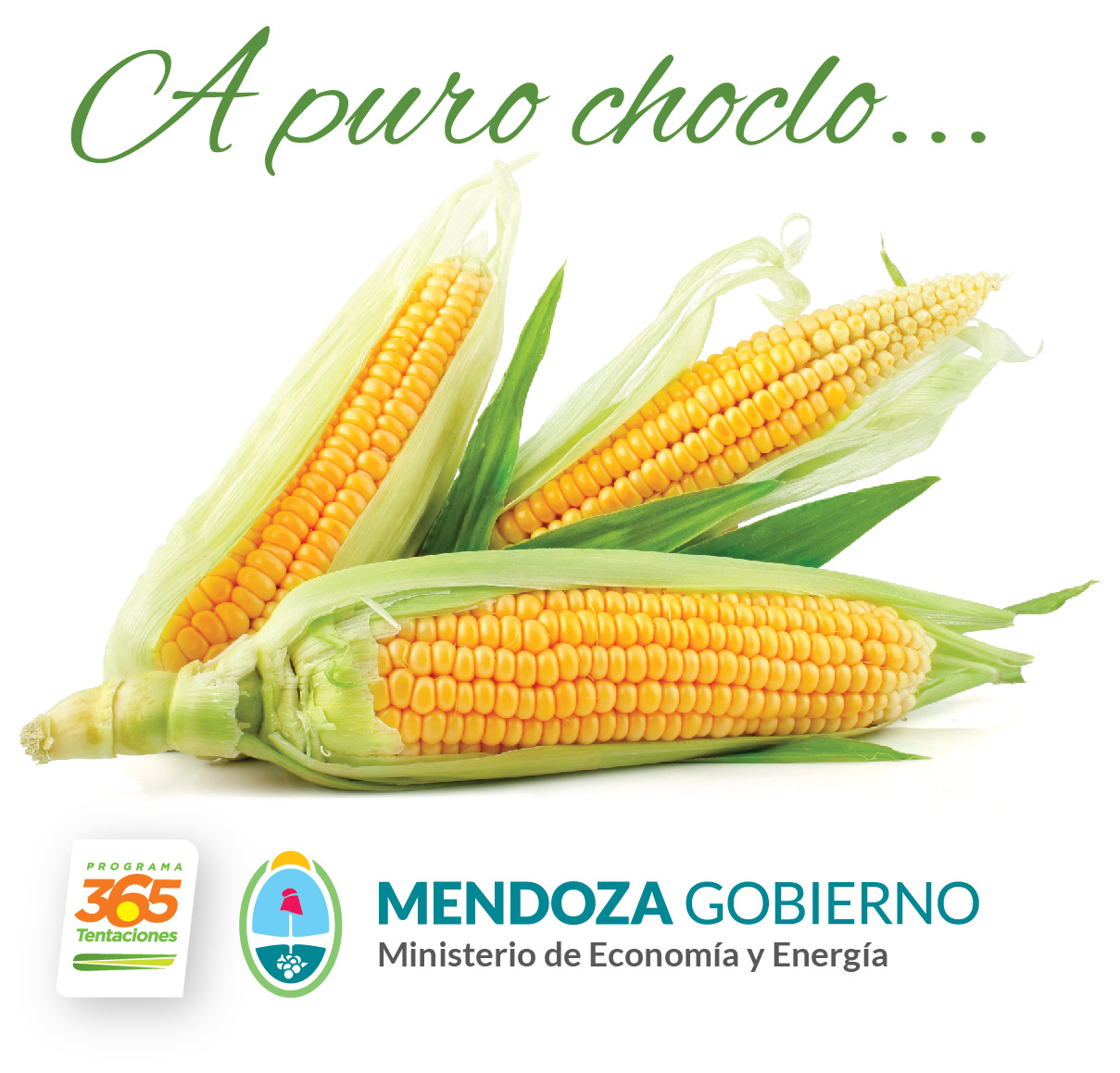 Época de choclos, el alimento milenario rico en fibras y vitaminas ...